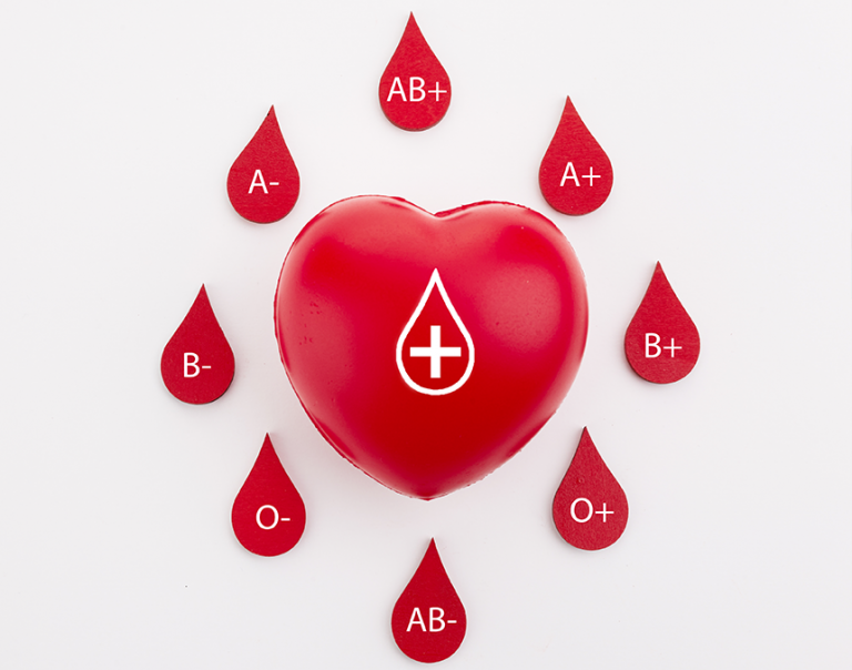 ¿Cuáles son los tipos de sangre que existen?